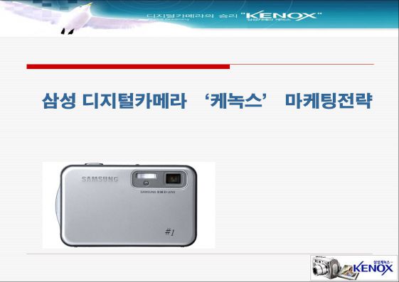 케녹스 마케팅전략