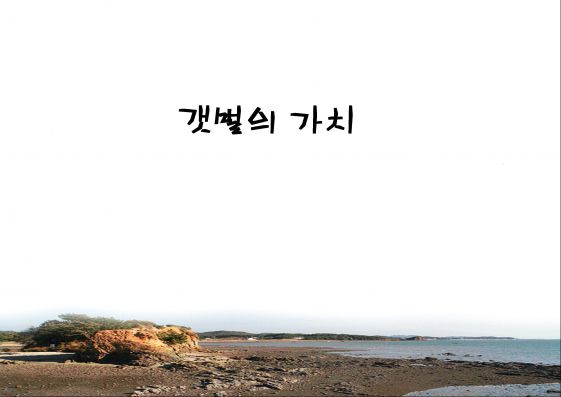 생명과학 갯벌 - 갯벌의 가치.PPT자료