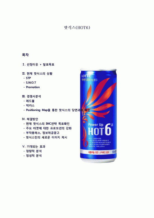 핫식스 마케팅전략 및 기업분석(4P,STP,SWOT,경쟁사비교)