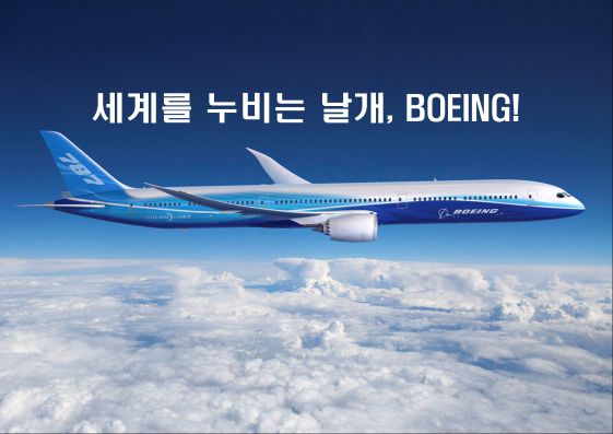 Boeing사,Airbus사,보잉사마케팅전략,보잉사경영전략,Airbus경영전략,해외민간항공사