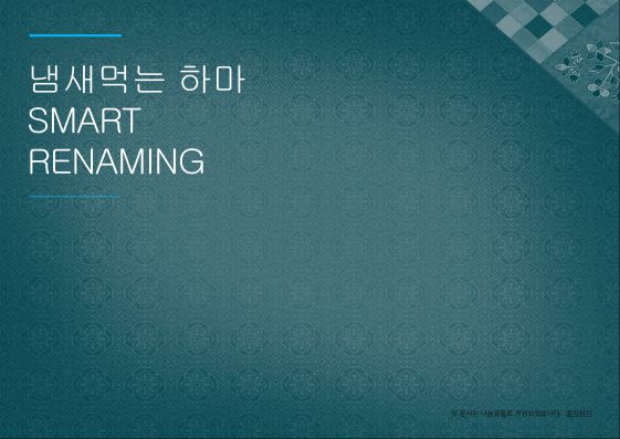 냄새먹는하마,탈취재,마케팅사례,마케팅,브랜드,브랜드마케팅,기업,서비스마케팅,글로벌,경영,시장,사례,swot,stp,4p