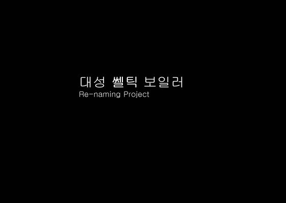 대성 쎌틱 보일러 Re-naming Project (대성보일러,마케팅사례,마케팅,브랜드,브랜드마케팅,기업,서비스마케팅,글로벌,경영,시장,사례,swot,stp,4p).PPT자료