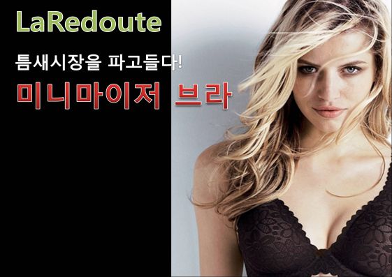 미니시장,미니브라시장,속옷마케팅,마케팅,브랜드,브랜드마케팅,기업,서비스마케팅,글로벌,경영,시장,사례,swot,stp,4p