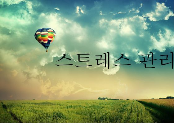 스트레스,스트레스관리,개인스트레스,조직스트레스,직무스트레스,스트레스원인