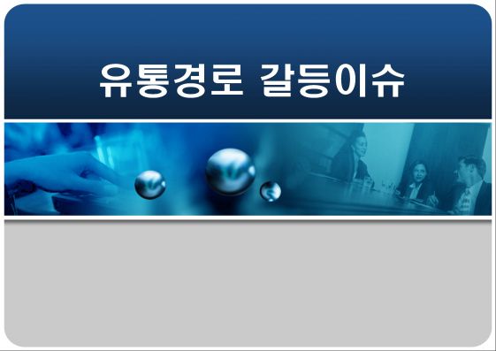 유통경로갈등이슈,유통경로 갈등의원인,유통경로개념및기능