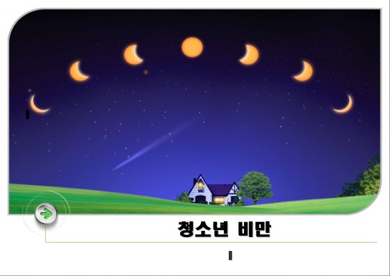 청소년 비만 (청소년비만문제,청소년비만종류,청소년비만유형,청소년비만해결책,청소년비만방안,비만문제,비만).PPT자료