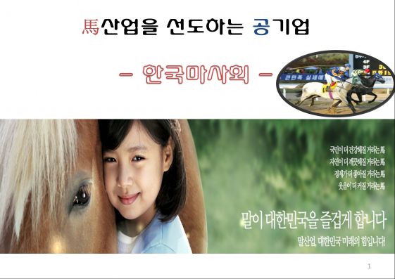 한국마사회,KRA기업분석,한국마사회기업분석,공기업분석사례
