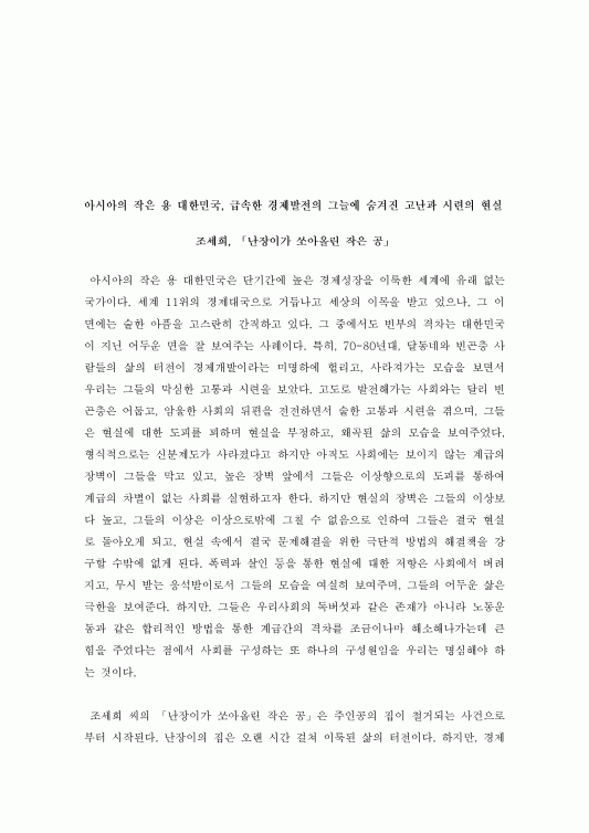 난장이가 쏘아올린 작은 공 독후감  [인문과학]