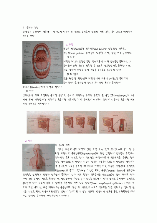[사회과학] [성인간호] 소화기계 요약