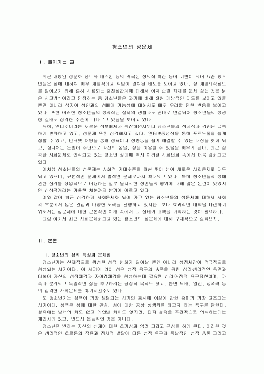 청소년의 성문제 레포트