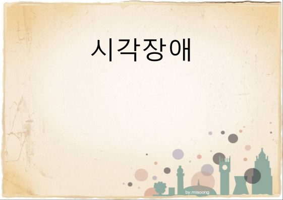 시각장애 특수교육학