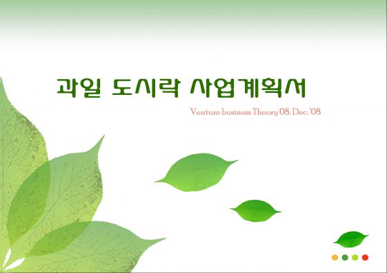 과일 도시락 사업계획서 - 과일도시락 마케팅전략 & 벤쳐전략.ppt