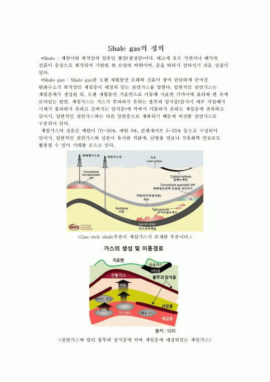 셰일가스 (Shale gas)의 정의