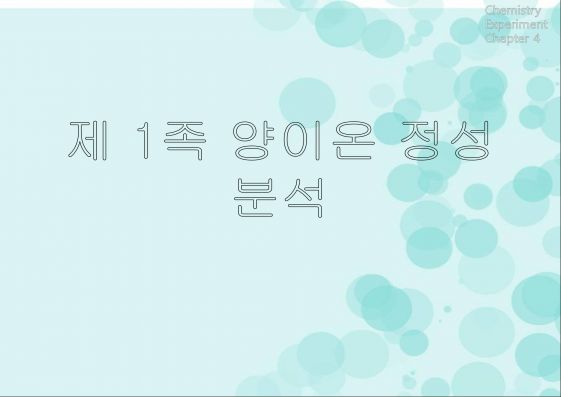 양이온 피피티