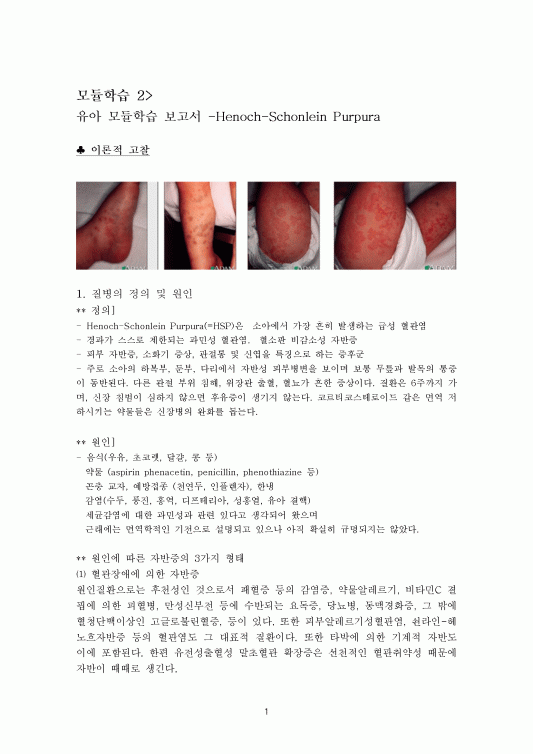 유아 모듈학습보고서
