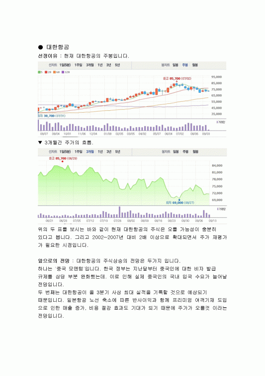 종목분석 보고서
