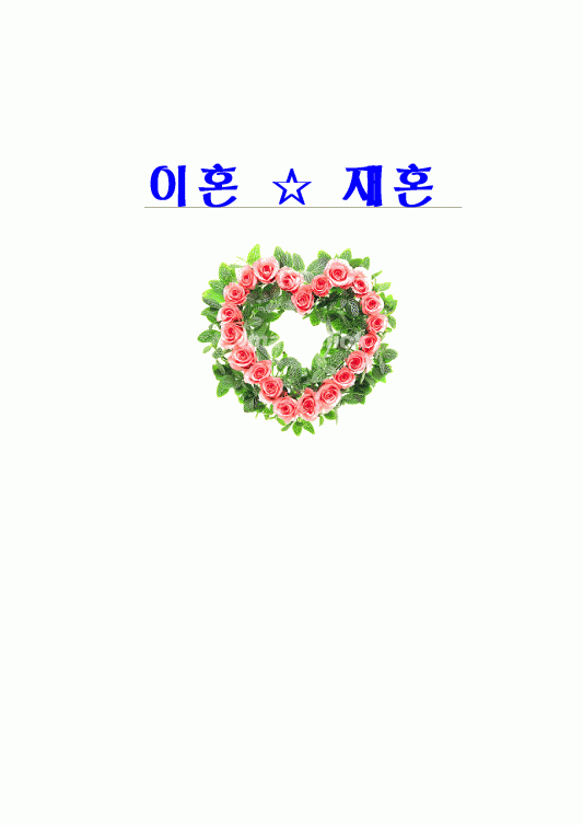 이혼 재혼 레포트 자료