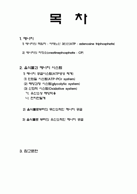 [예체능] 에너지시스템