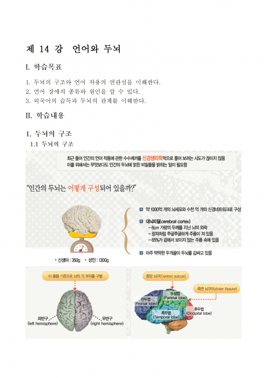 [언어의 이해] 14강 언어와 두뇌