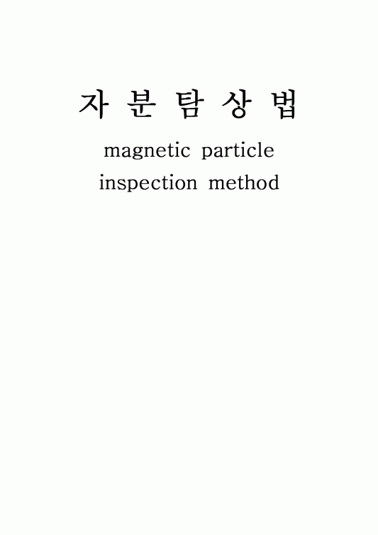자분탐상법보고서