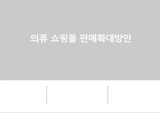 의류 쇼핑몰(인터넷쇼핑몰) 판매확대방안 (캐쥬얼의류중심으로).ppt