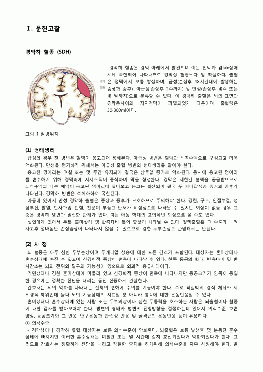 sdh 케이스 스터디 (경막하혈종 케이스)