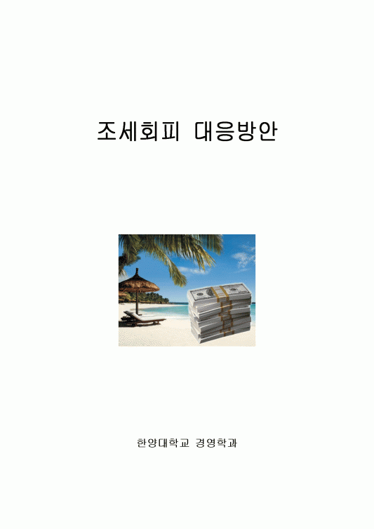 조세회피 대응방안
