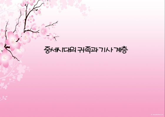 중세시대의 귀족과 기사 계층