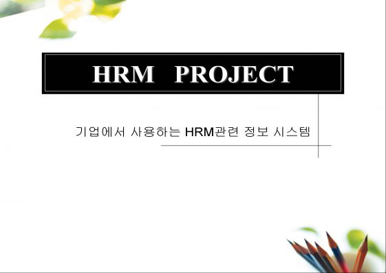 기업에서 사용하는 HRM관련 정보 시스템 - PIS개념