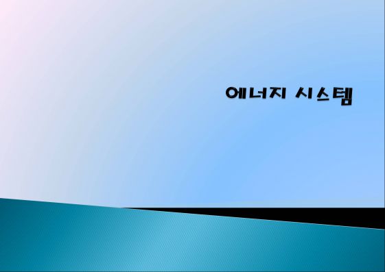 에너지 시스템.ppt
