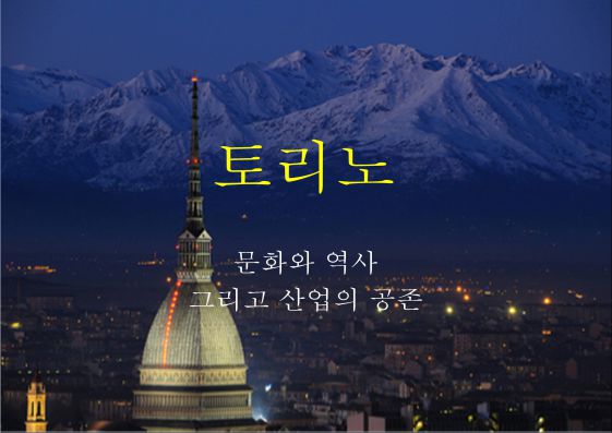 Torino 레포트 자료