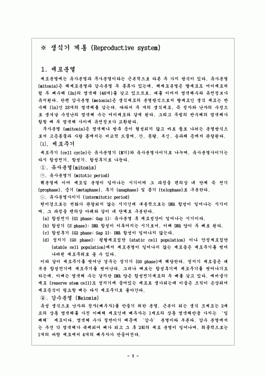 해부학 생식기계통 (Reproductive system)