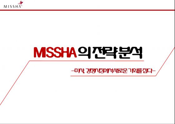 미샤 분석 레포트 자료