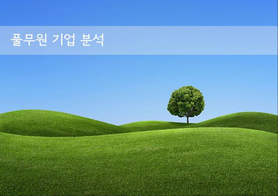 풀무원 기업분석