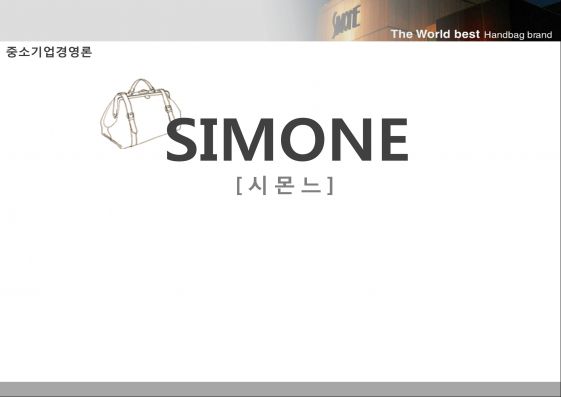 SIMONE 기업 분석
