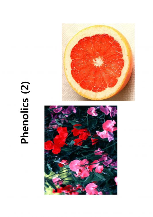 phenolics(2) 레포트 자료