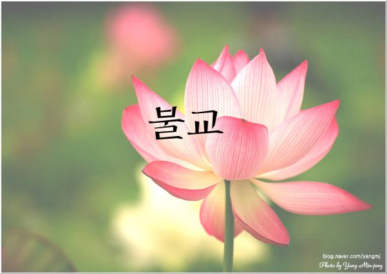 불교ppt 레포트 자료
