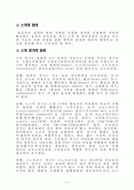 리포트 스키 레포트 자료
