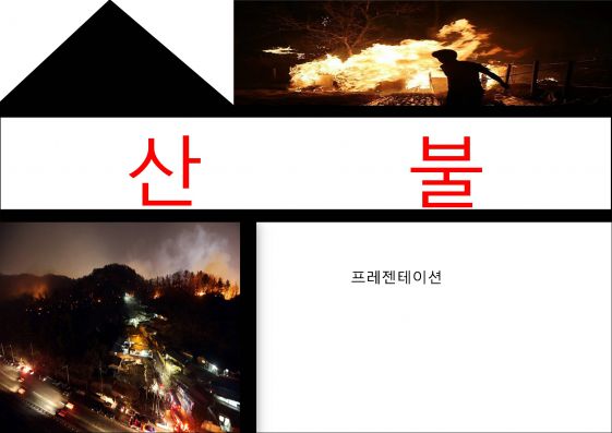 산불 레포트 자료