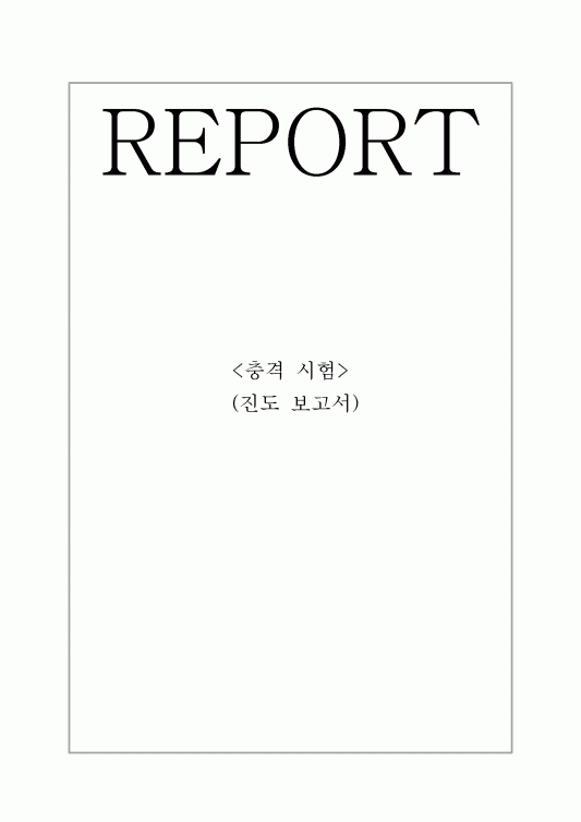 충격시험 진도보고서