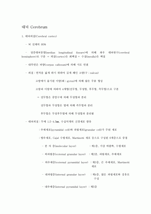 [의학] 대뇌 Cerebrum에 관해