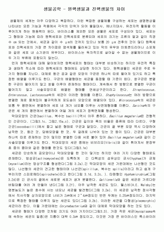 생물공학 - 원핵생물과 진핵생물의 차이