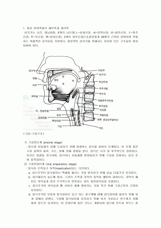 작업치료 - 연하곤란[Dysphasia]에 관해