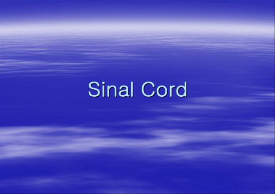 [의학] 척수[Sinal Cord]에 관해