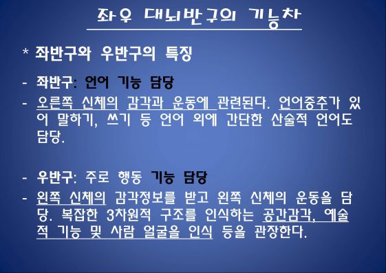 [의학]  좌우 대뇌반구의 기능차