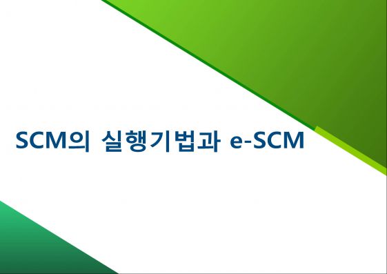 SCM의 실행기법과 e-SCM