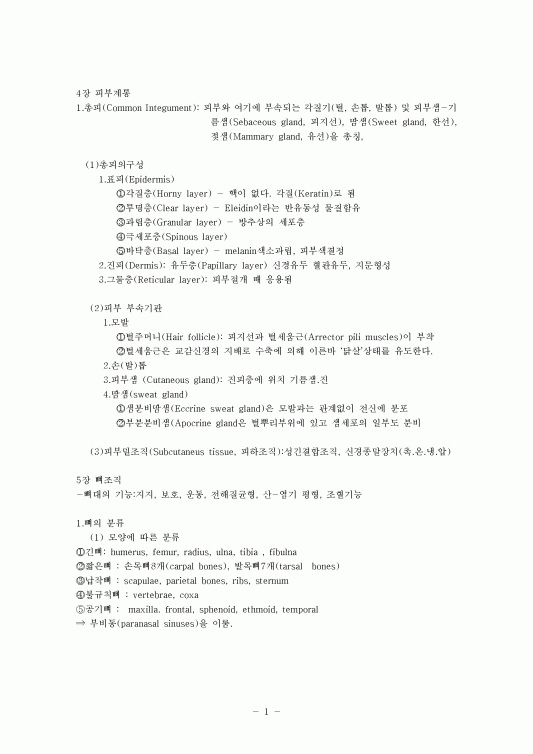 해부학 요약본