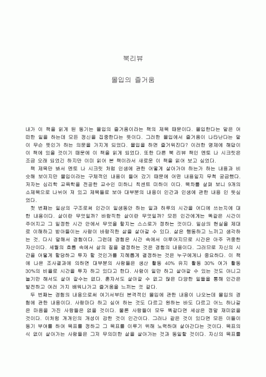 몰입의 즐거움 북리뷰