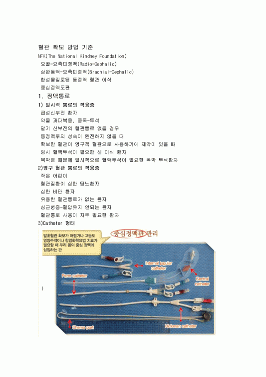투석환자혈관 종류와 간호