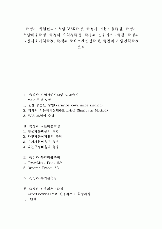 [측정]측정과 위험관리시스템 VAR측정, 측정과 자본비용측정, 측정과 부담비용측정, 측정과 수익성측정, 측정과 신용리스크측정, 측정과 자산사용가치측정, 측정과 총요소생산성측정, 측정과 사업전략측정 분석